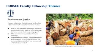 FORSEE Faculty Fellowship Themes (2).pptx