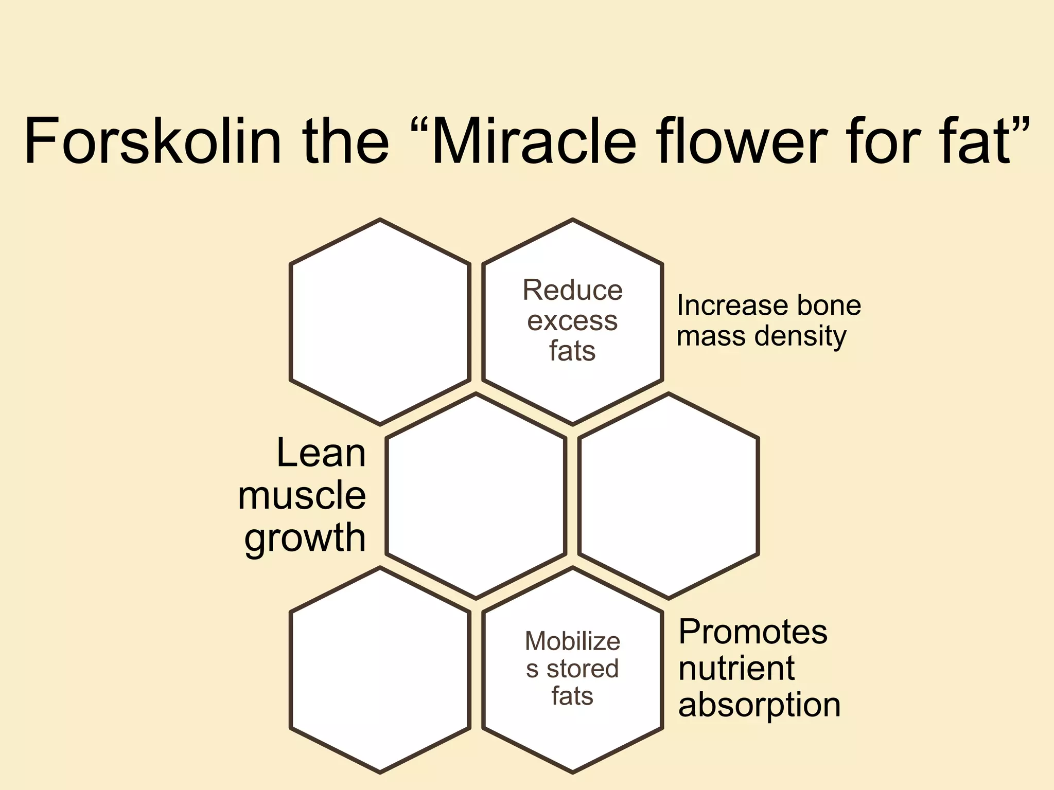 Overview of Forskolin | PPTX