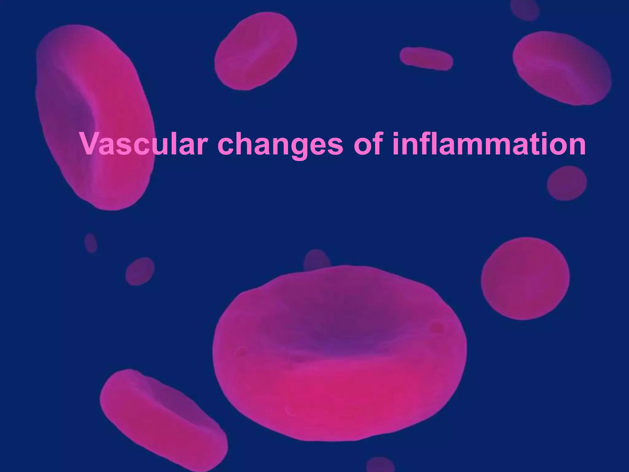 vascular changes in inflamation | PPTX