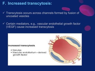 vascular changes in inflamation | PPTX