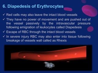 vascular changes in inflamation | PPTX