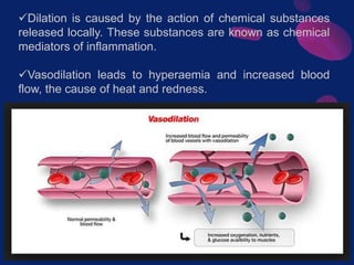 vascular changes in inflamation | PPTX