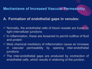 vascular changes in inflamation | PPTX