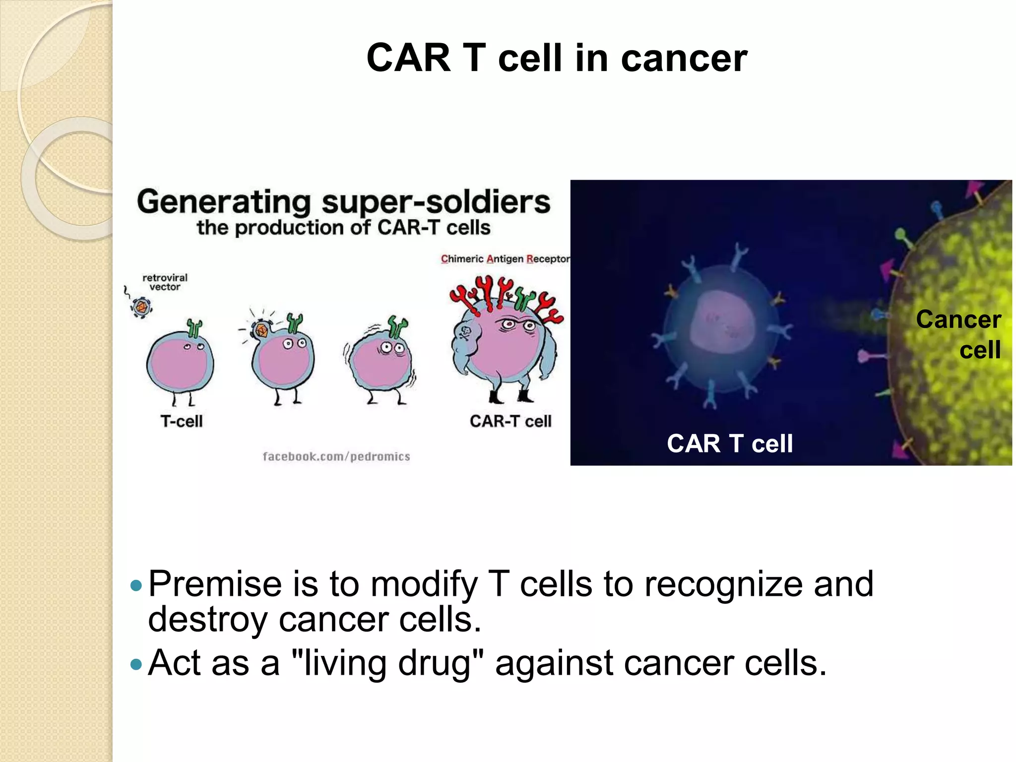 CAR T cells | PPTX