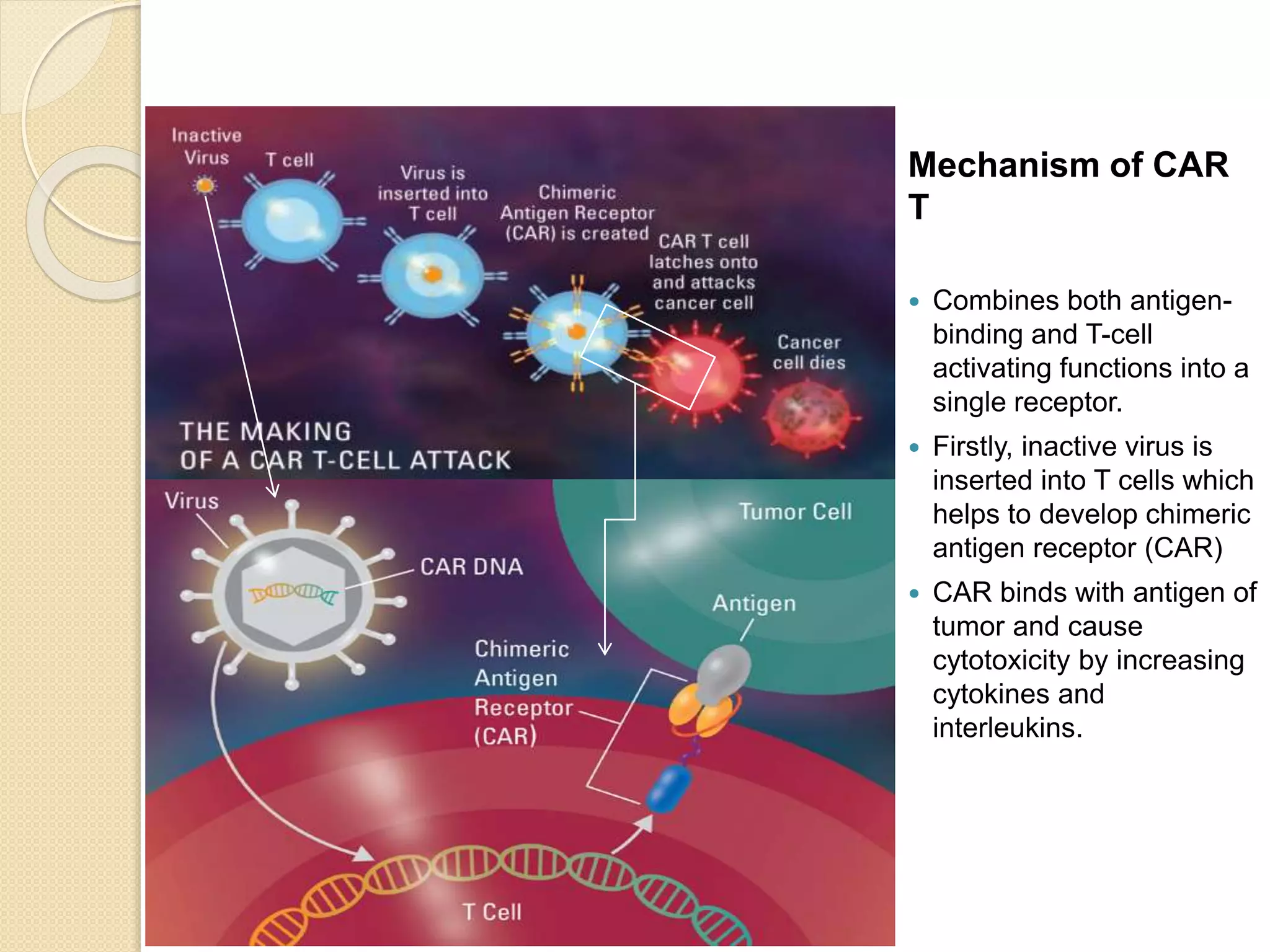 CAR T cells | PPTX