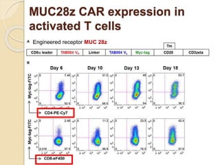 CAR T cells | PPTX