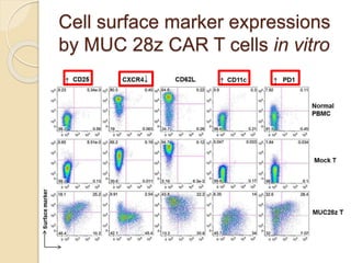 CAR T cells | PPTX