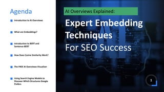 AI Overviews Explained: Expert Embedding Techniques For SEO Success | PPT