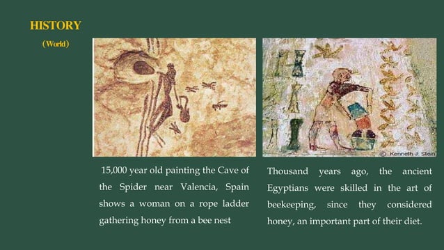 Apiculture: History | PPT