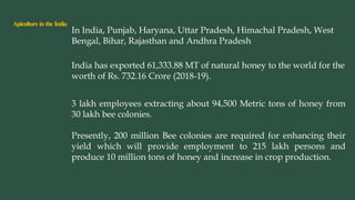 Apiculture: History | PPT