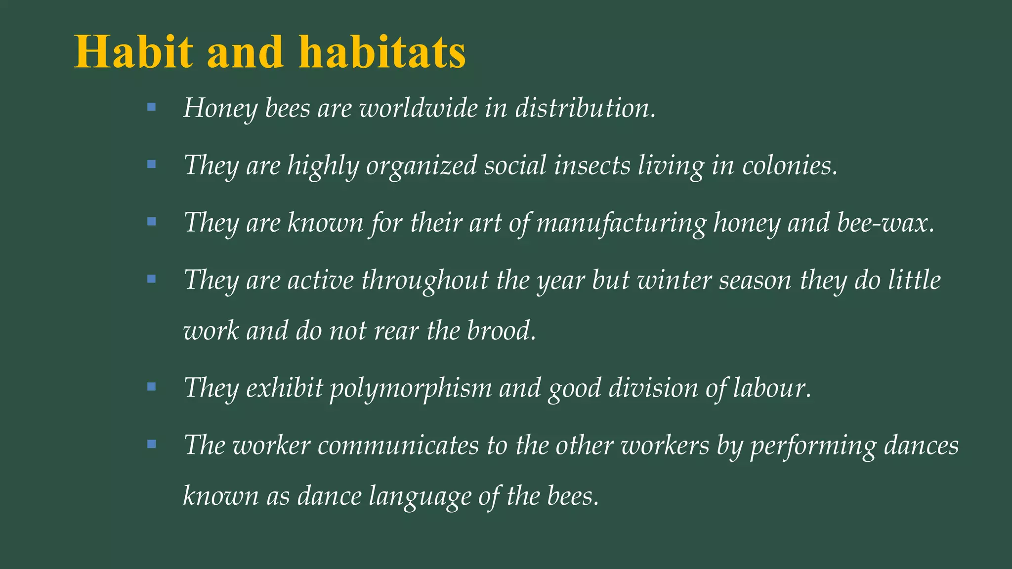 Apiculture: Honeybee Species | PPT
