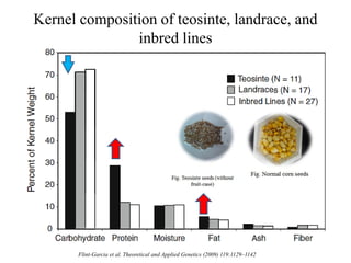 Evaluating Teosinte Near Isogenic population for Kernel Composition ...
