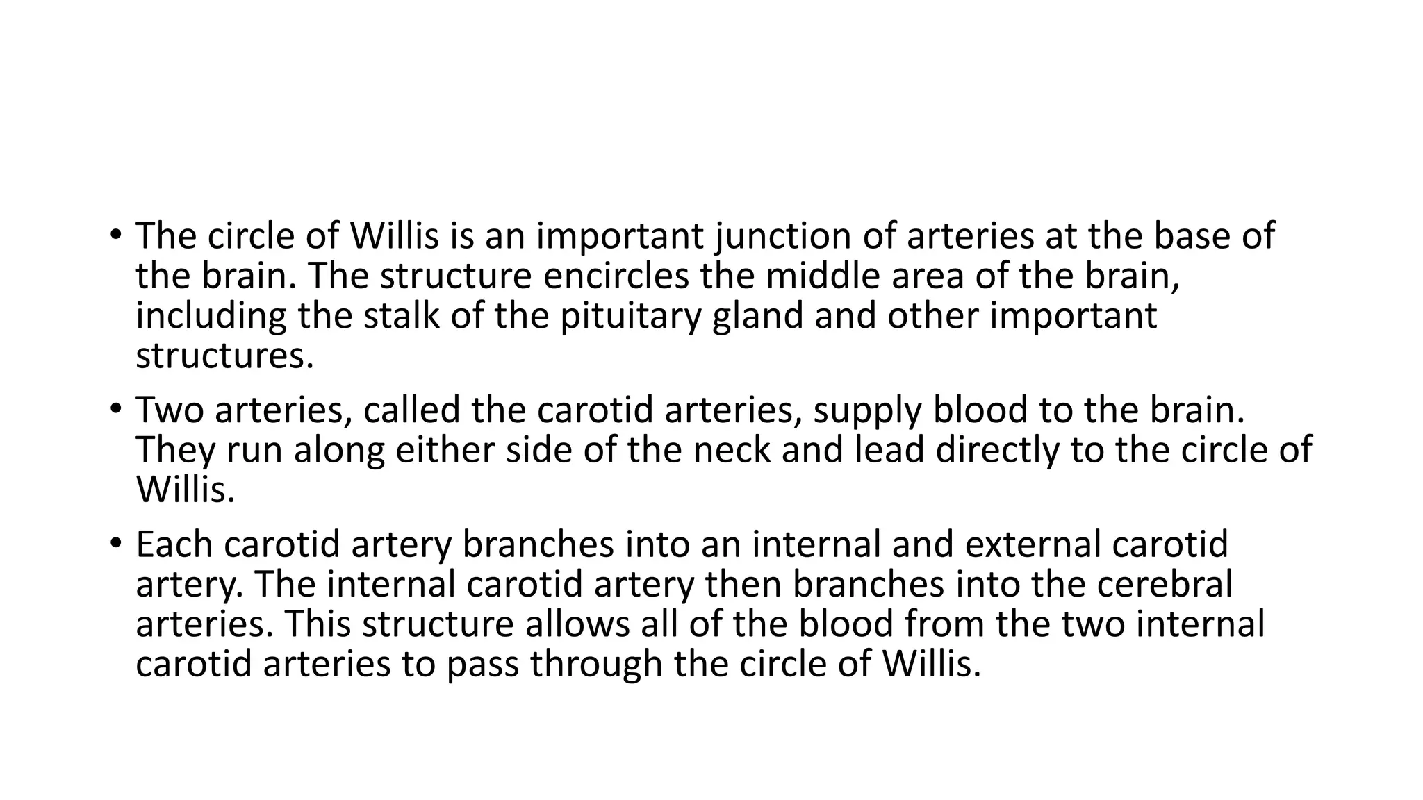 circle of Willis | PPTX