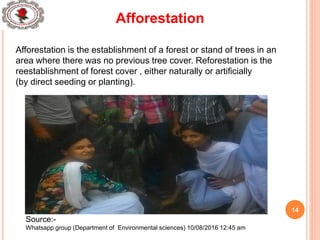 Forst management ramesh | PPTX