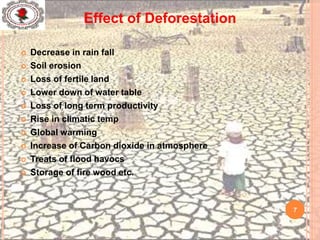 Forst management ramesh | PPTX