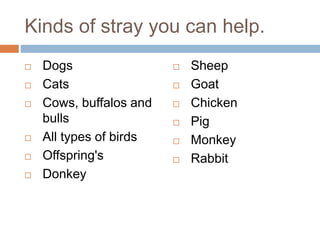For strays. | PPTX