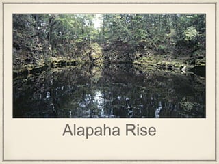 Florida Springs | PPTX