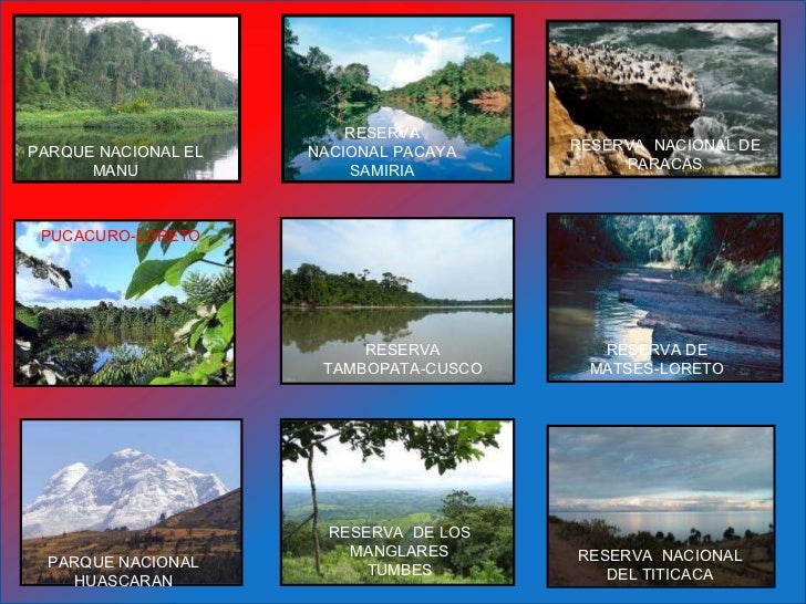 Áreas Naturales y Protegidas en el Perú : ÁREAS NATURALES Y PROTEGIDAS ...