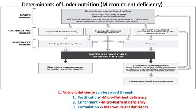 Fortification and formulation | PPTX | Nutrition | Healthy Living