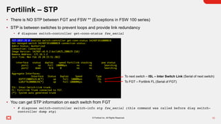 Fortinet Forti Link Explained March 2022 | PDF
