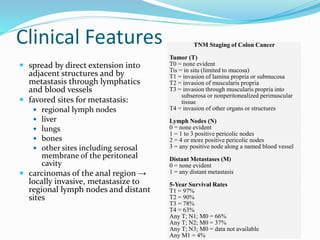 Cancer of the Colon | PPT