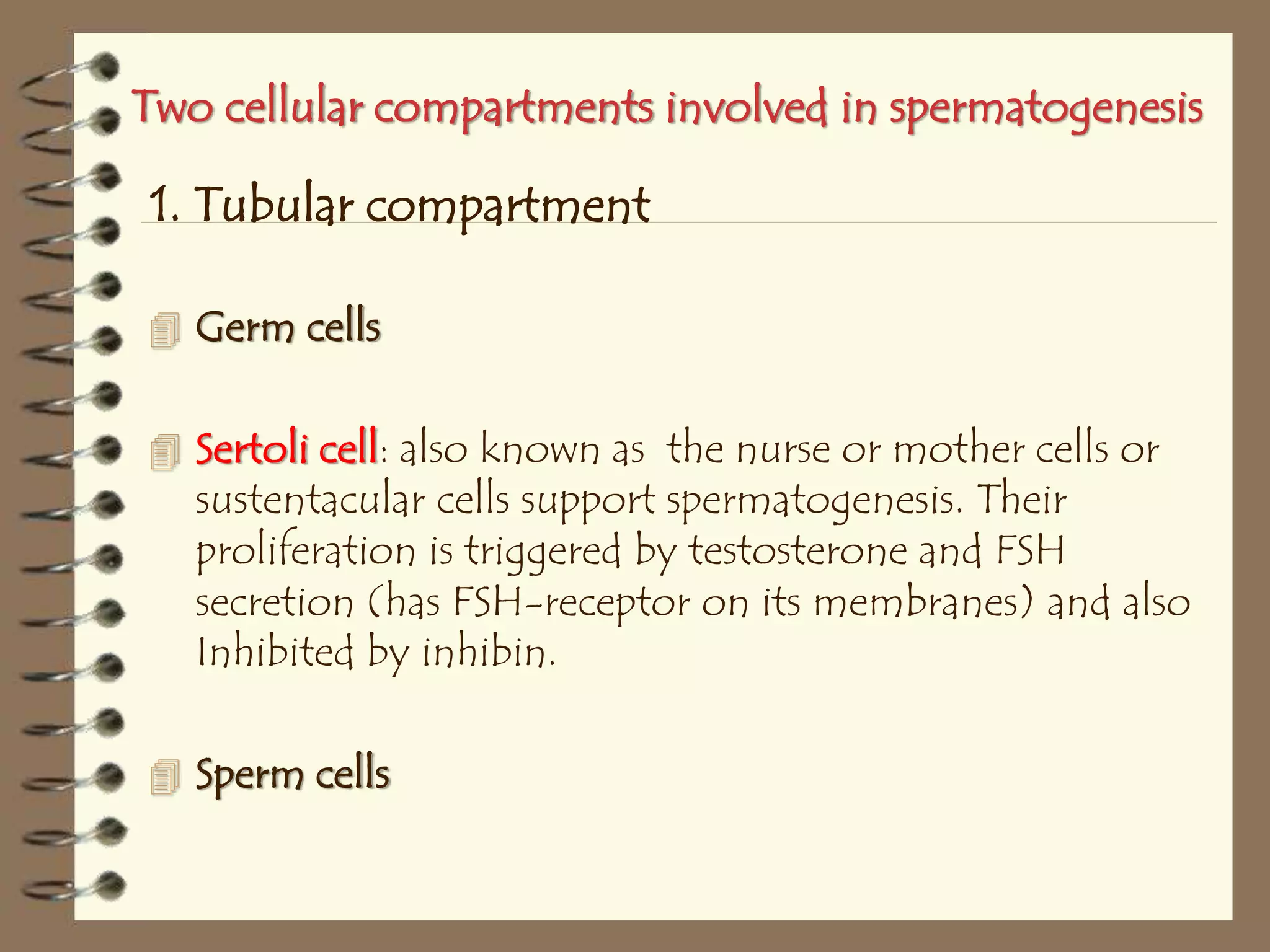 MALE GONADAL FUNCTION AND DYSFUNCTION (MALE HYPOGONADISM) | PPT