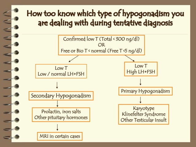 MALE GONADAL FUNCTION AND DYSFUNCTION (MALE HYPOGONADISM) | PPT