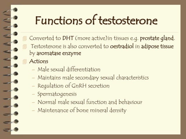 MALE GONADAL FUNCTION AND DYSFUNCTION (MALE HYPOGONADISM) | PPT