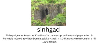 FORTS.pdf
