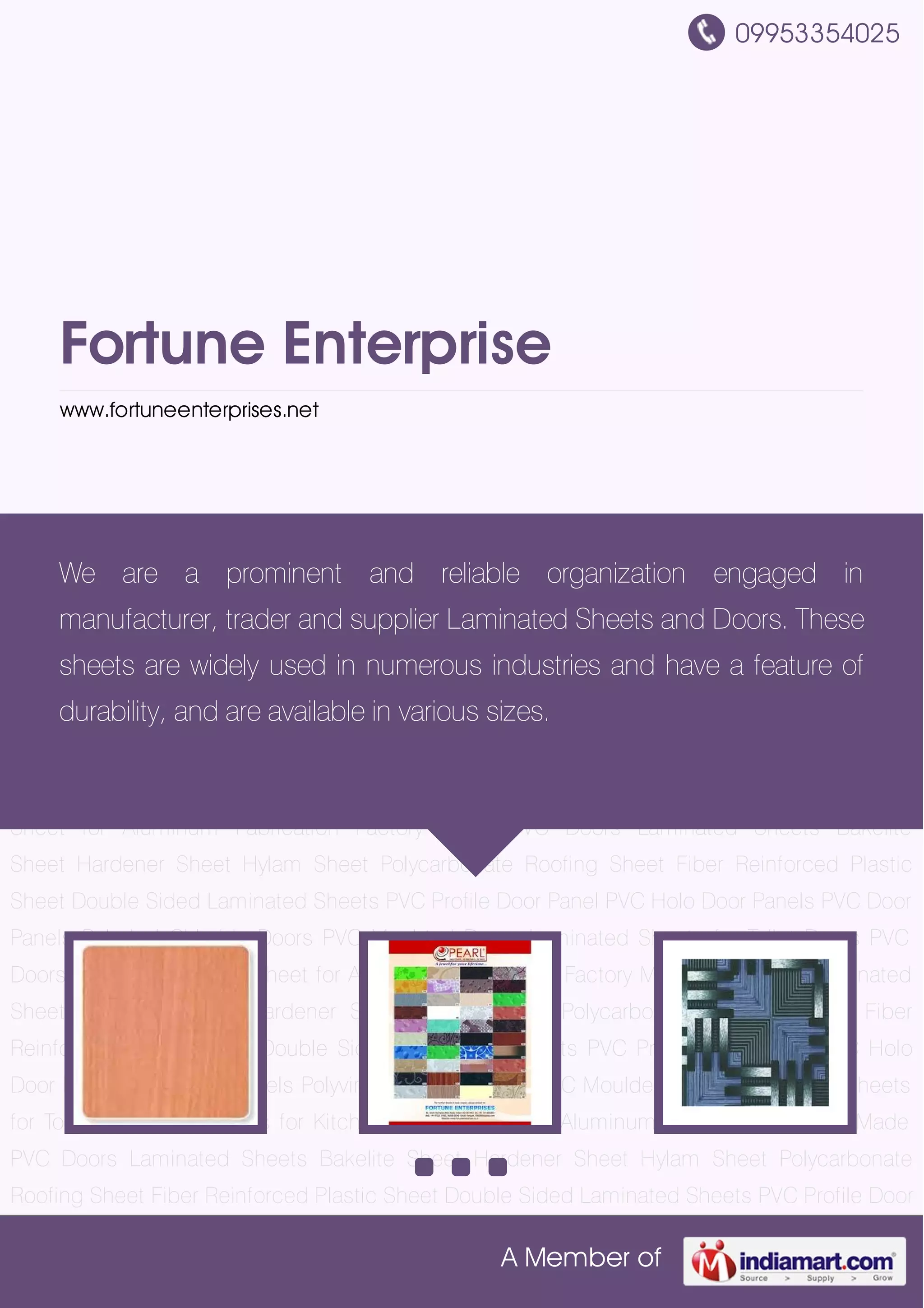 Fortune enterprise | PDF