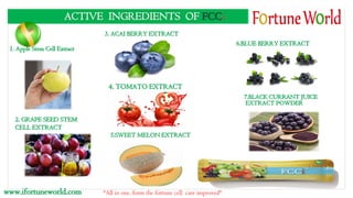 Fortune World (USD) | PDF