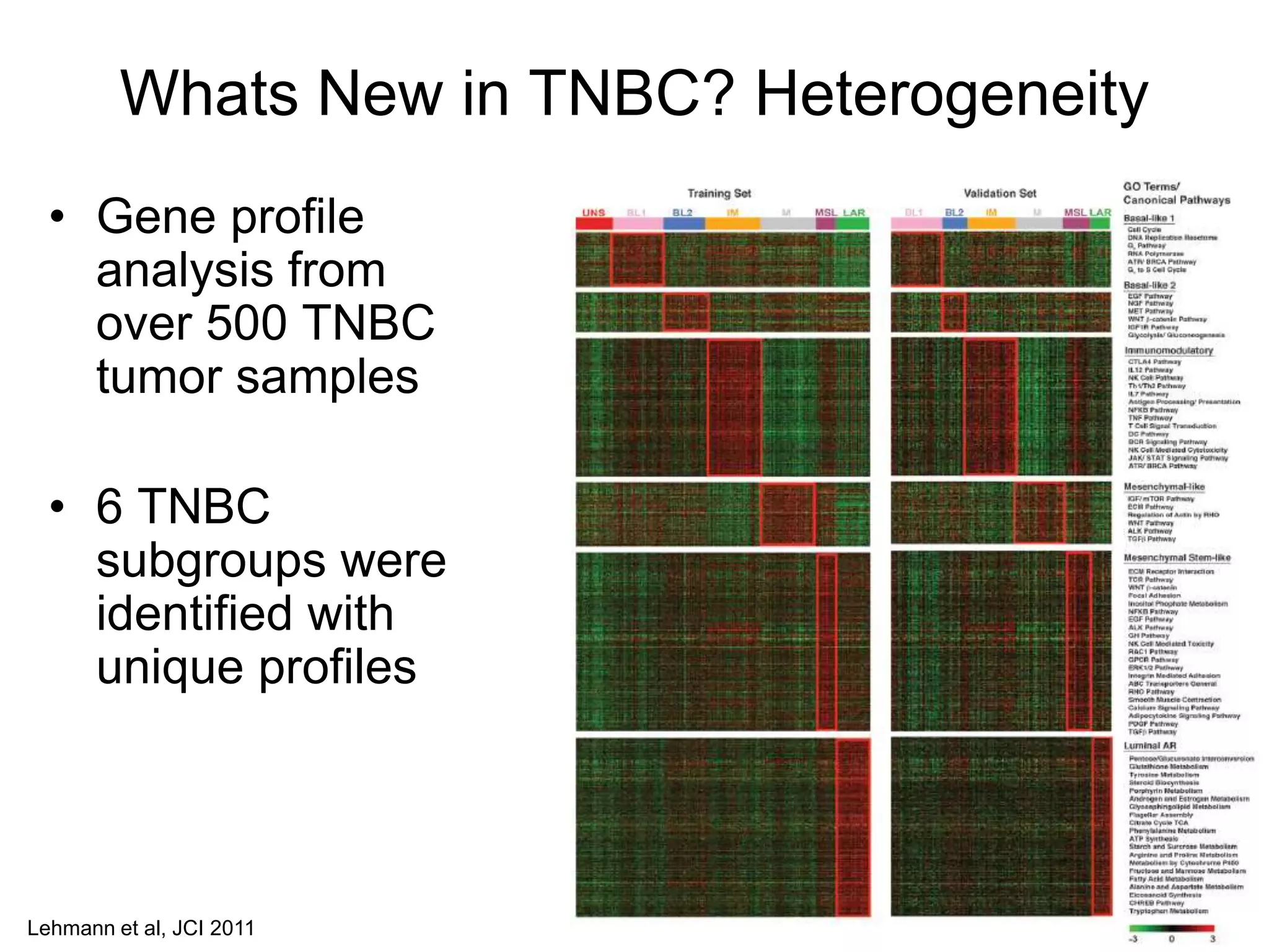 Metastatic Breast Cancer Research and Treatment | PPTX