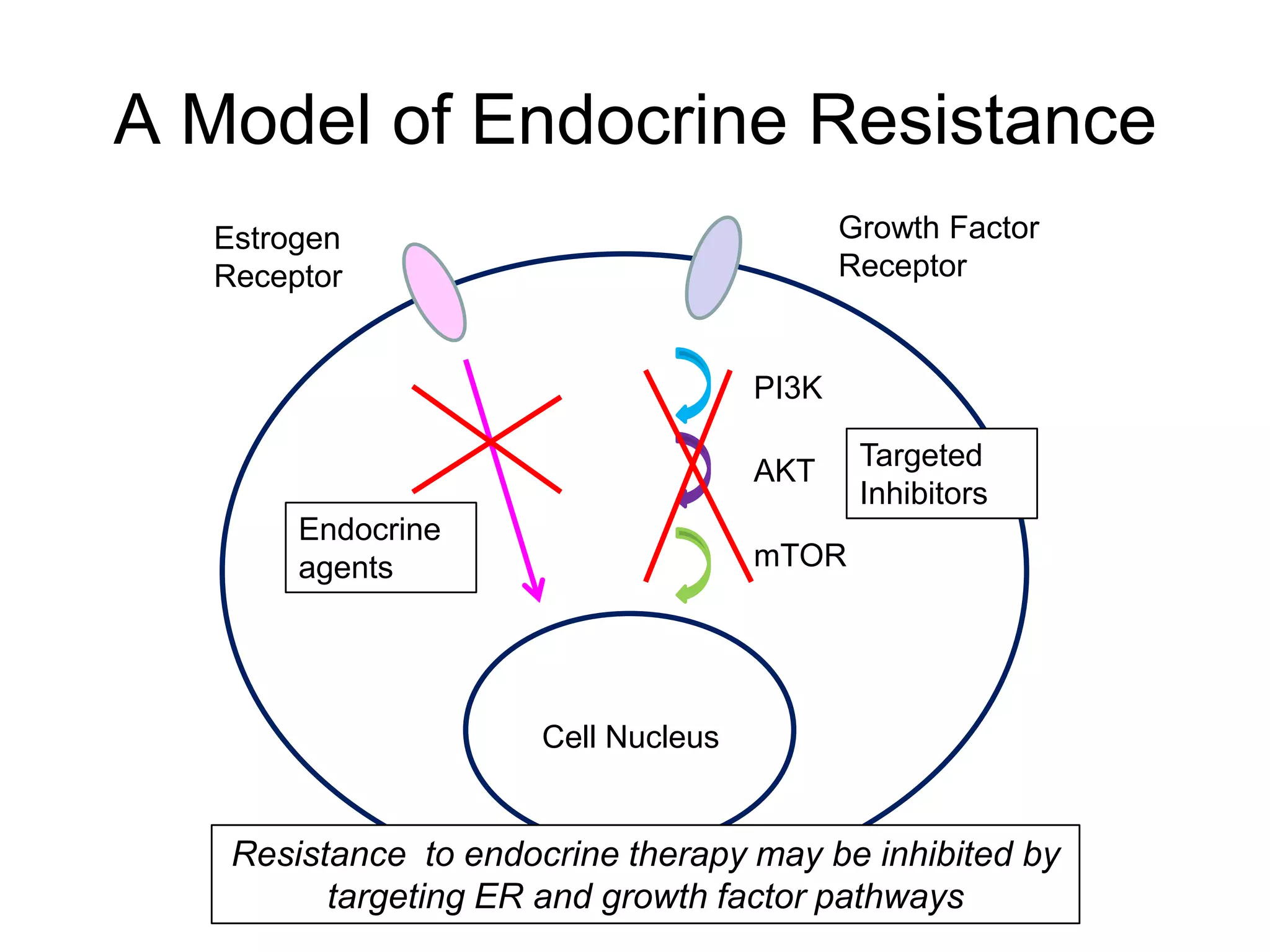 Metastatic Breast Cancer Research and Treatment | PPTX