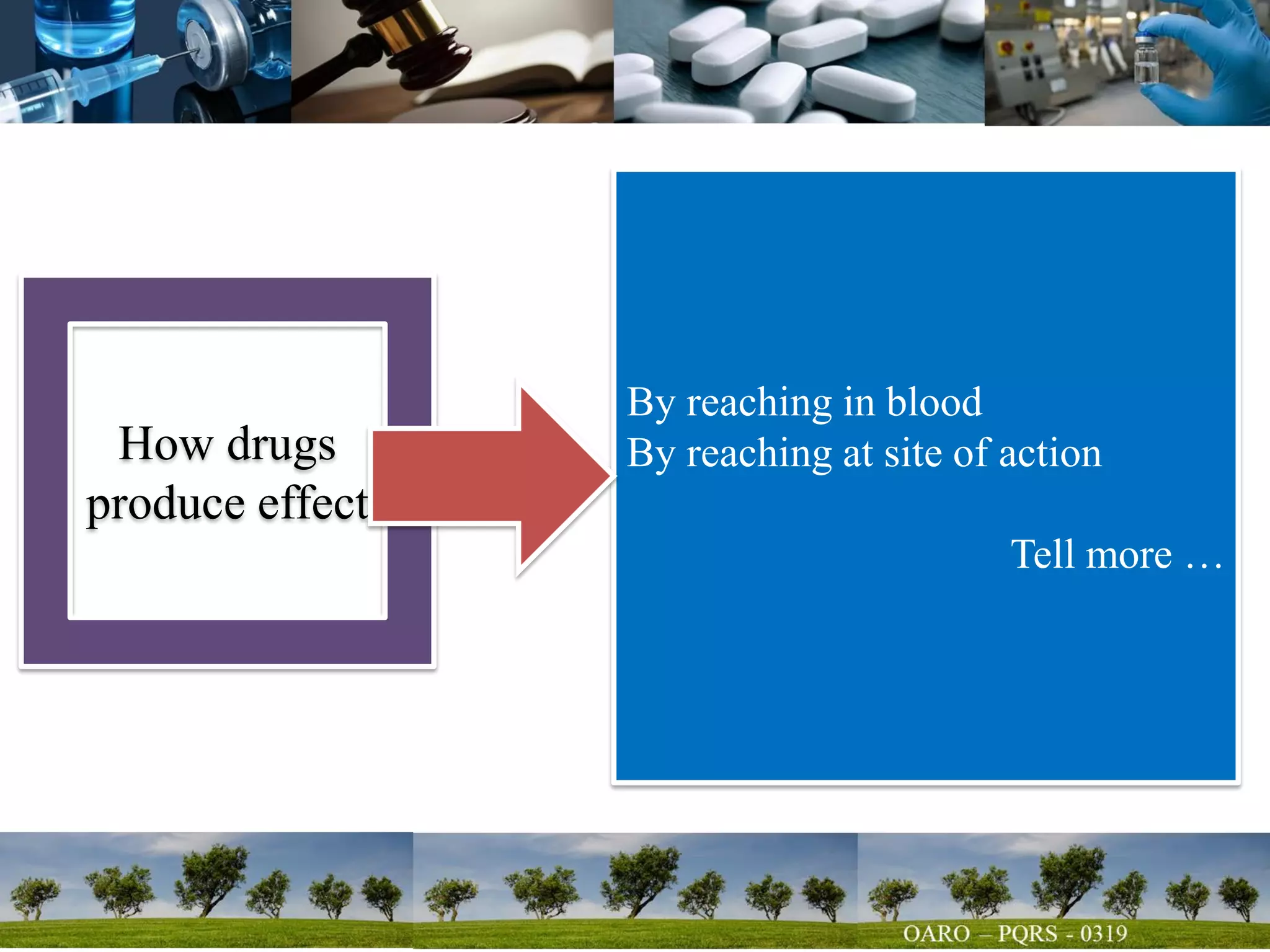 Pharmaceutical Manufacturing Operations | PDF