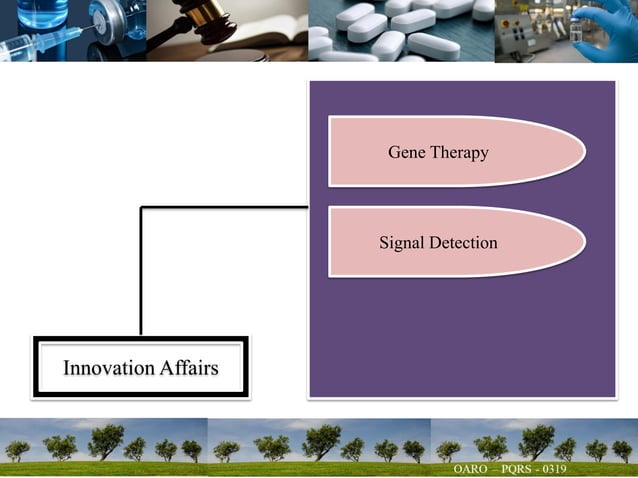 Pharmaceutical Manufacturing Operations | PDF