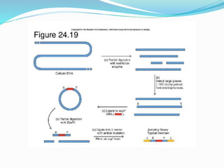 Forward and reverse genetics | PPTX