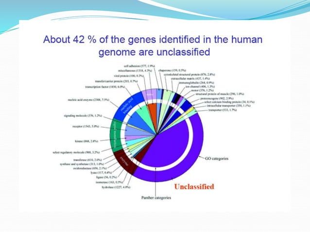 Forward and reverse genetics | PPTX