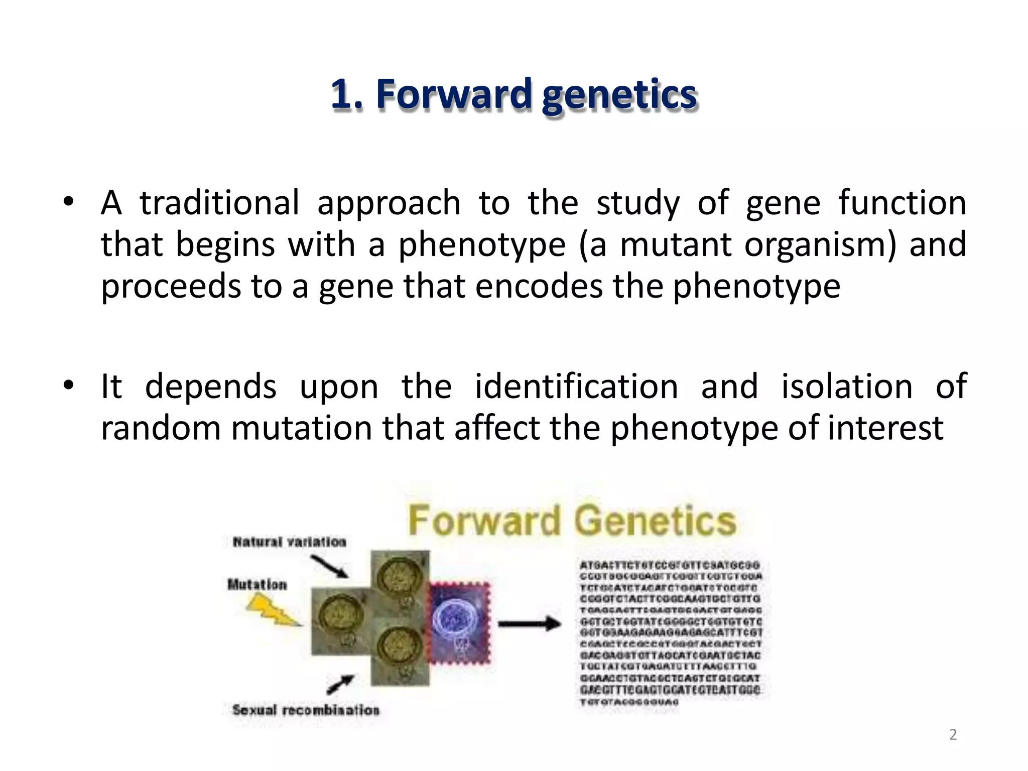 Forward genetics | PPTX