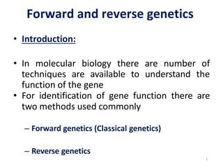 Forward genetics | PPTX