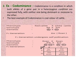Forward genetics | PPTX