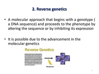 Forward genetics | PPTX