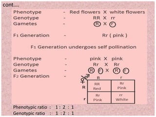 Forward genetics | PPTX