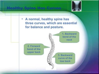 Forward Head Posture Powerpoint | PPT