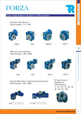 Forza Reduktor | PDF