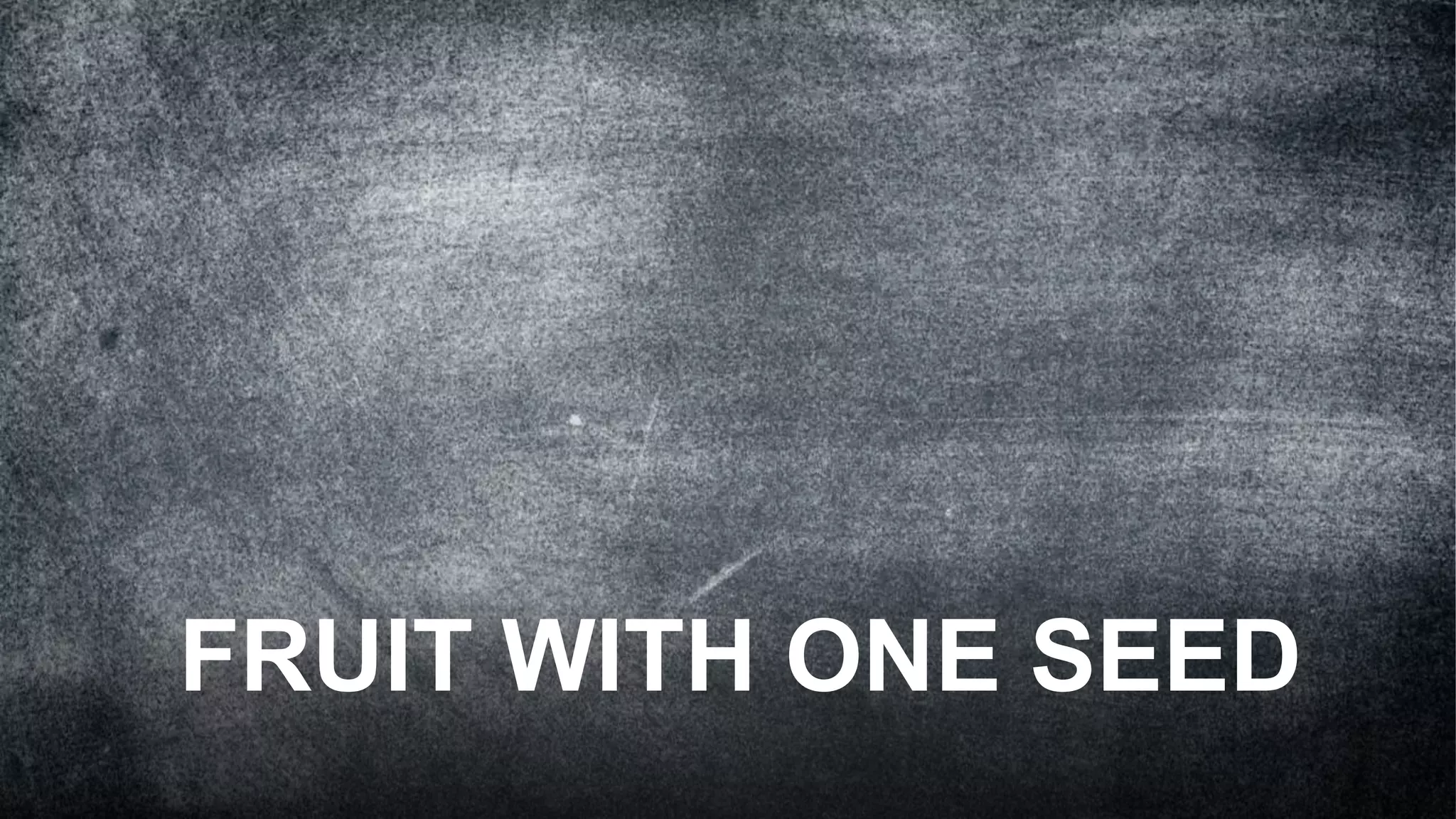 Fruits with one seed | PPTX