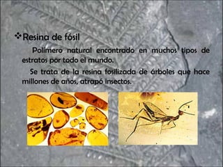 Los fósiles | PPT
