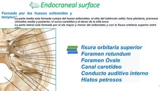 Fosa craneal media | PPTX