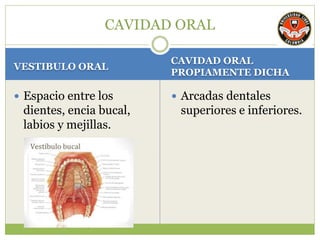 Fosa Nasal y Cavidad Oral | PPTX