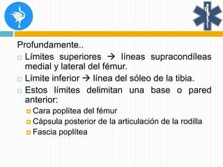 Fosa poplítea | PPTX