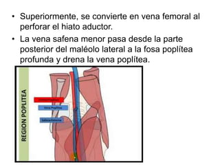 Fosa poplítea.pptx